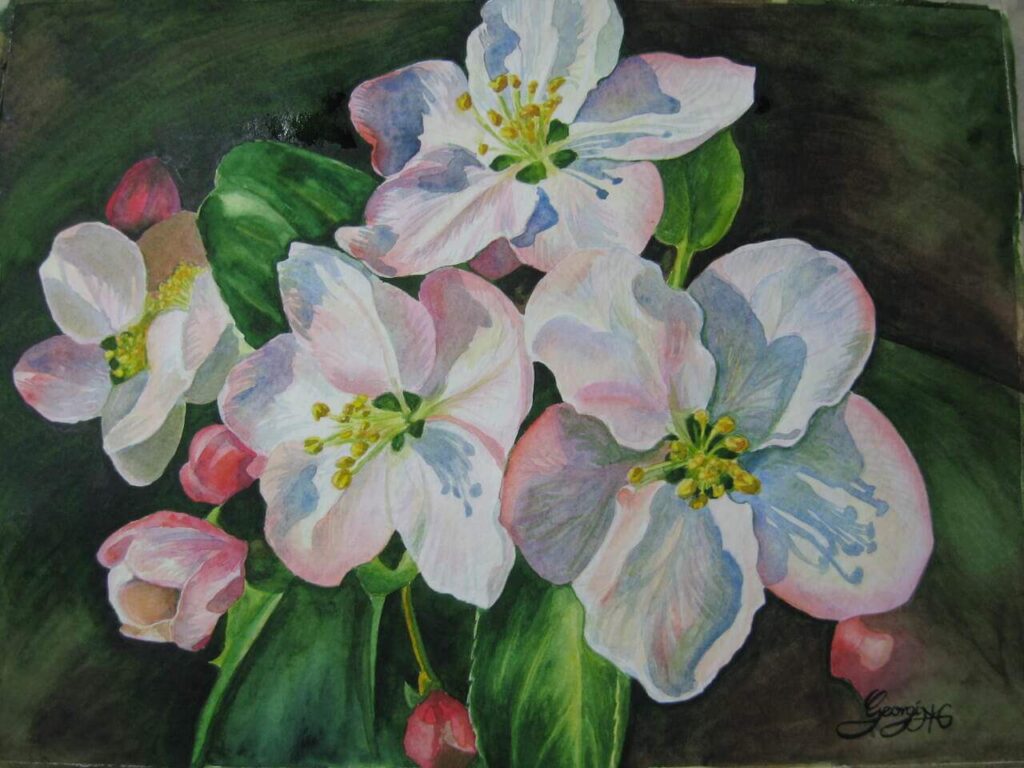 Flori de mar II | ARTCR